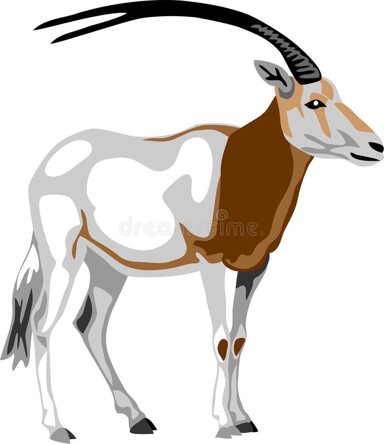 Scimitar oryx ilustración del vector. Ilustración de horned - 267896922
