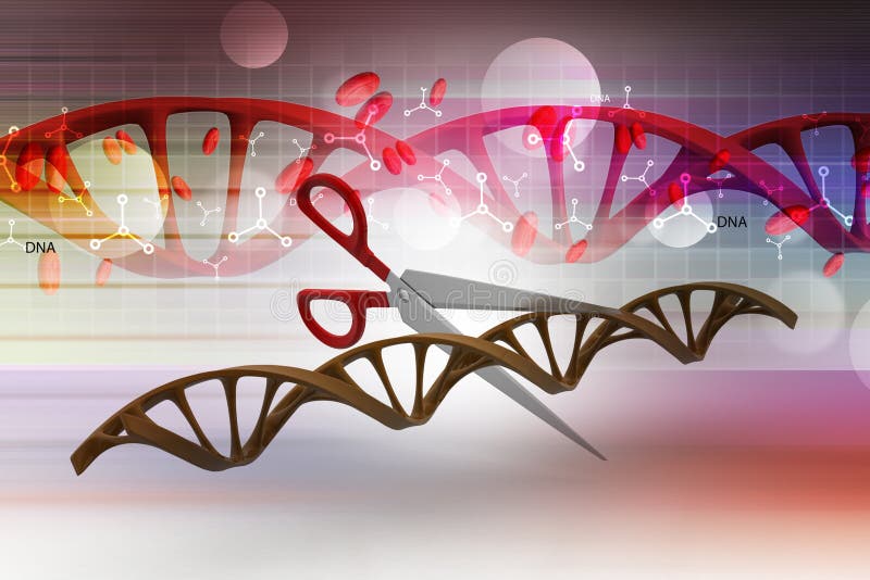 Scissor Cutting Dna Structure Stock Illustration - Illustration of ...
