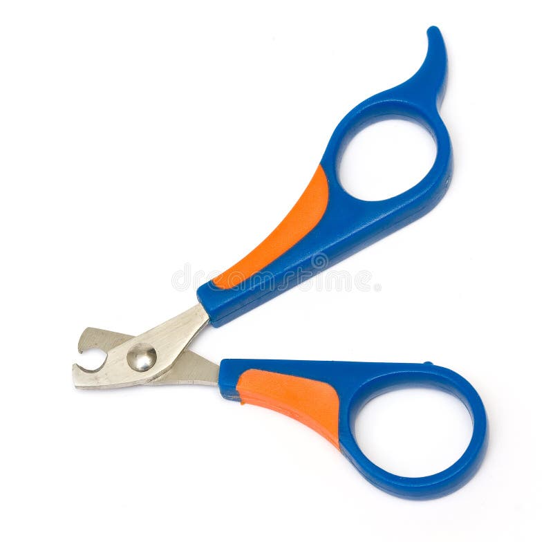 Scissors stock photo. Image of claw, steel, macro, blue - 18469190