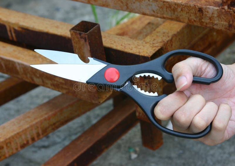 Scissors stock photo. Image of pointing, open, shears - 7672064