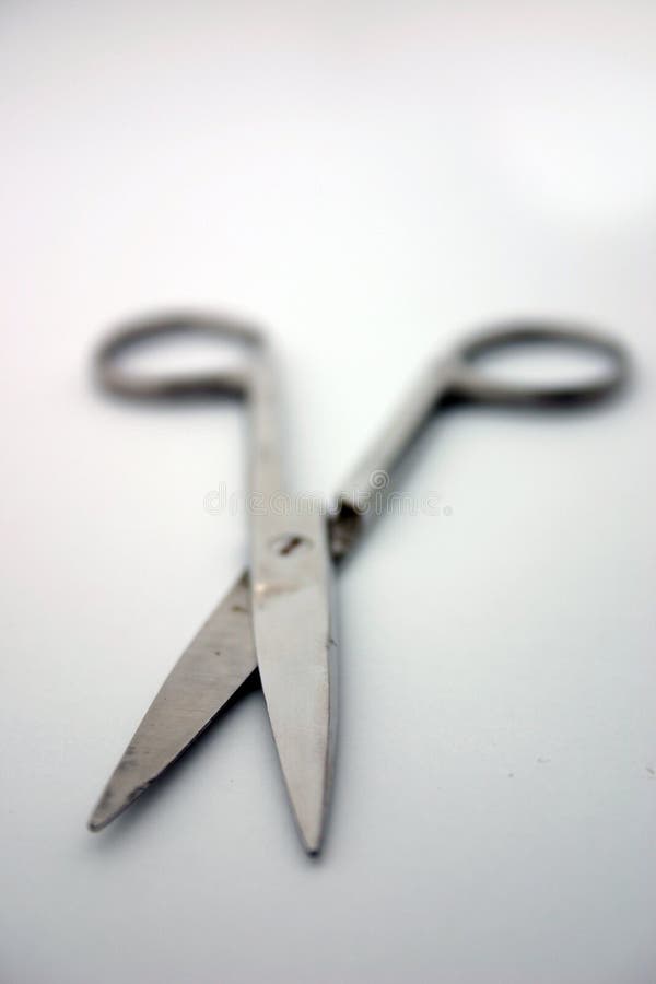 Scissors stock photo. Image of metal, snip, macro, scissors - 95124