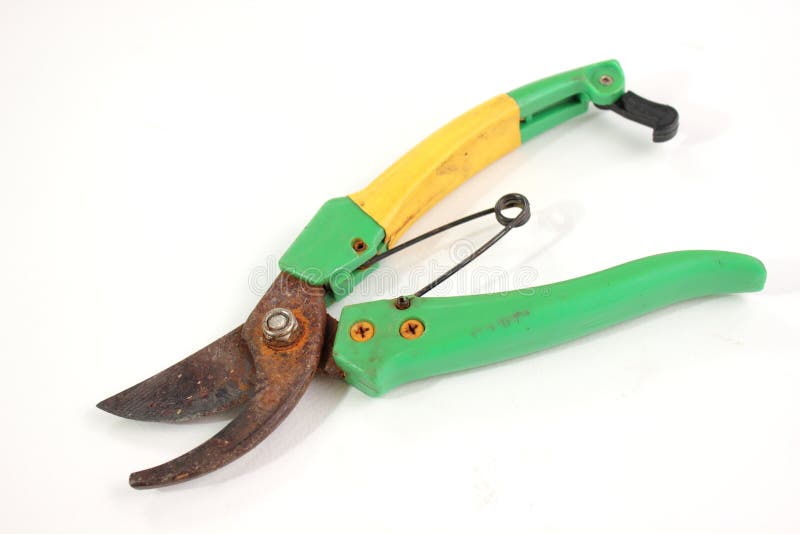 Scissors cut branches stock photo. Image of hedge, branch - 41268412