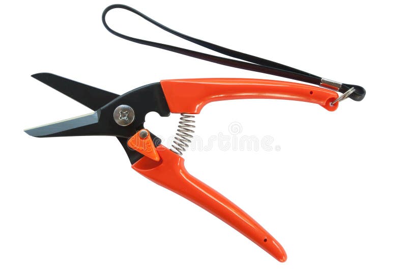 Tools for gardening stock photo. Image of gardening, manual - 38797348