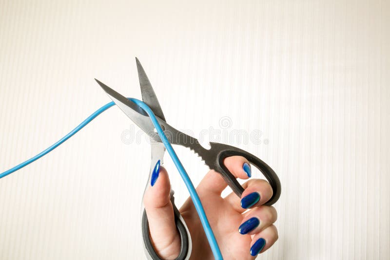 Network cable cut off stock photo. Image of internet, laptop - 1327604