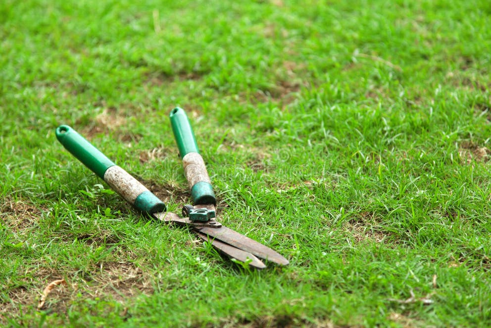 Scissors cut the grass stock image. Image of scissors - 32446801