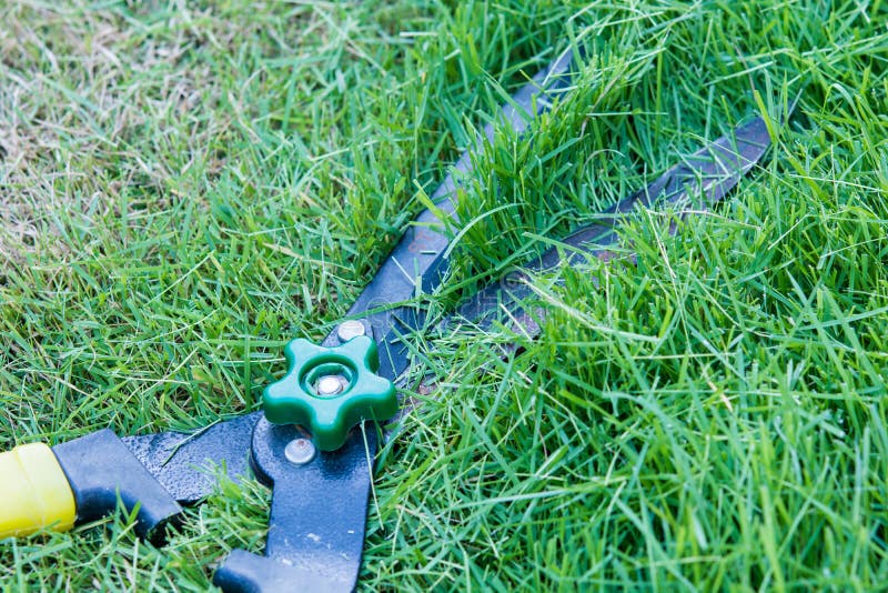Scissors Cut Grass Put in Garden Stock Image - Image of grass, hand ...