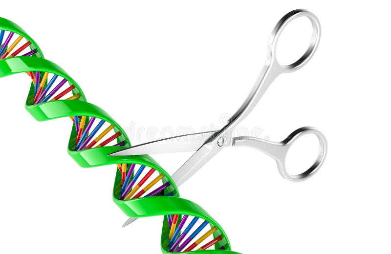 Scissors Cutting of DNA Spiral. Genome Editing Concept. Innovative ... Scissors Cutting of DNA Spiral. Genome Editing Concept. Innovative ...