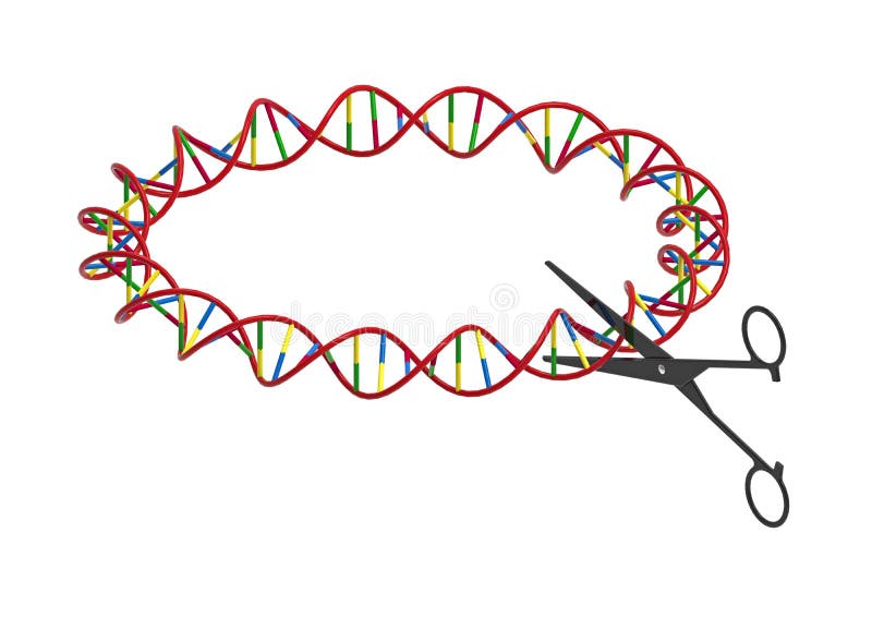 Cutting Dna Stock Illustrations – 88 Cutting Dna Stock Illustrations ...