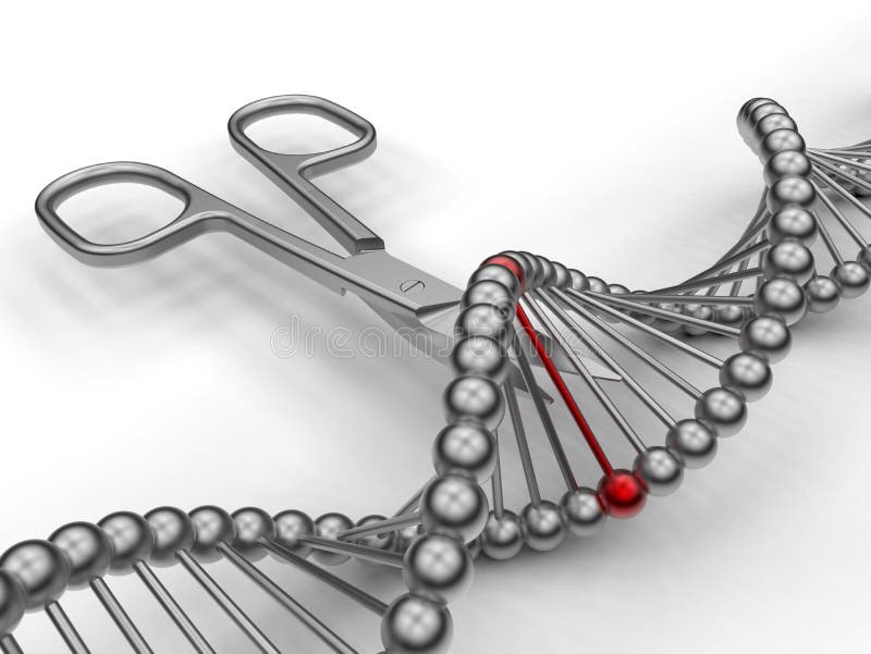 Gene Scissors Stock Illustrations – 76 Gene Scissors Stock ...