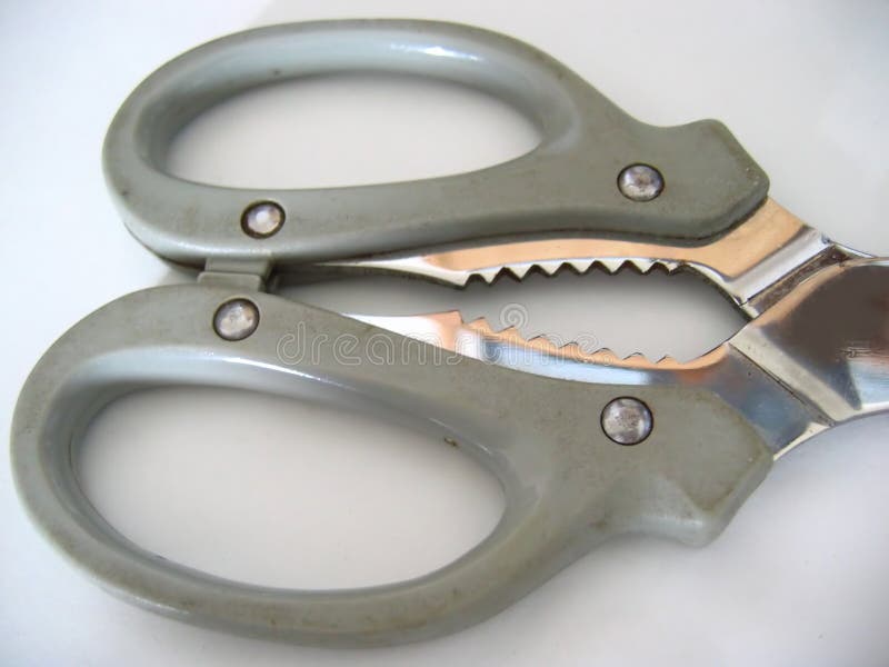 Hair Scissors stock image. Image of style, bald, hairdresser - 518001