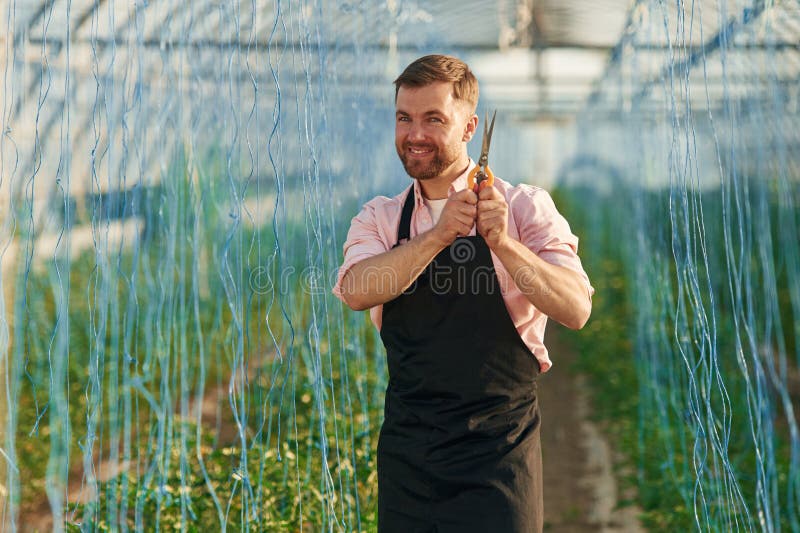 Scissors Hands Man Greenhouse Working Plants Stock Photos - Free ...
