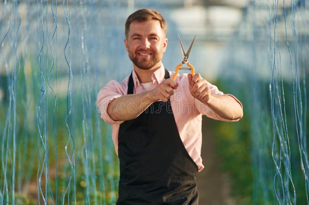 Scissors in Hands. Man in Greenhouse is Working with Plants Stock Image ...