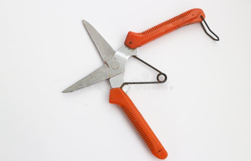 Scissors with Orange Color Isolated on White Stock Image - Image of ...
