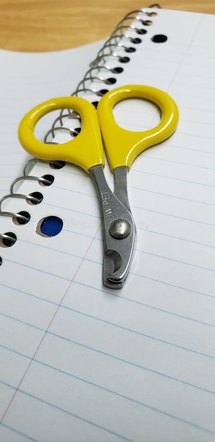 Scissors paper stock image. Image of paper, scissors - 142807985