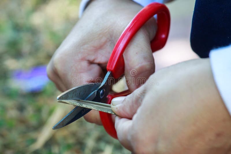 Scissors, Scissors Cut Paper, Hand. Stock Image - Image of education ...