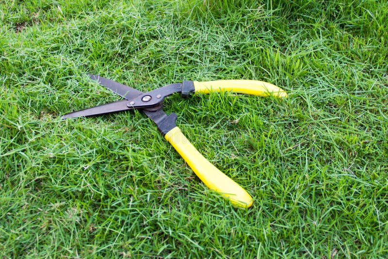 Scissors to cut the grass stock image. Image of closeup - 31687505