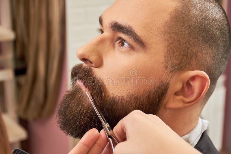 Scissors trimming beard. stock photo. Image of beard - 96615398