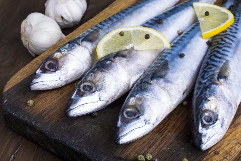 Scombro fotografia stock. Immagine di sano, scombri, mediterraneo ...