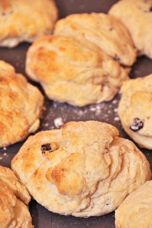 Scones stock photo. Image of snack, scones, food, sugary - 8195592