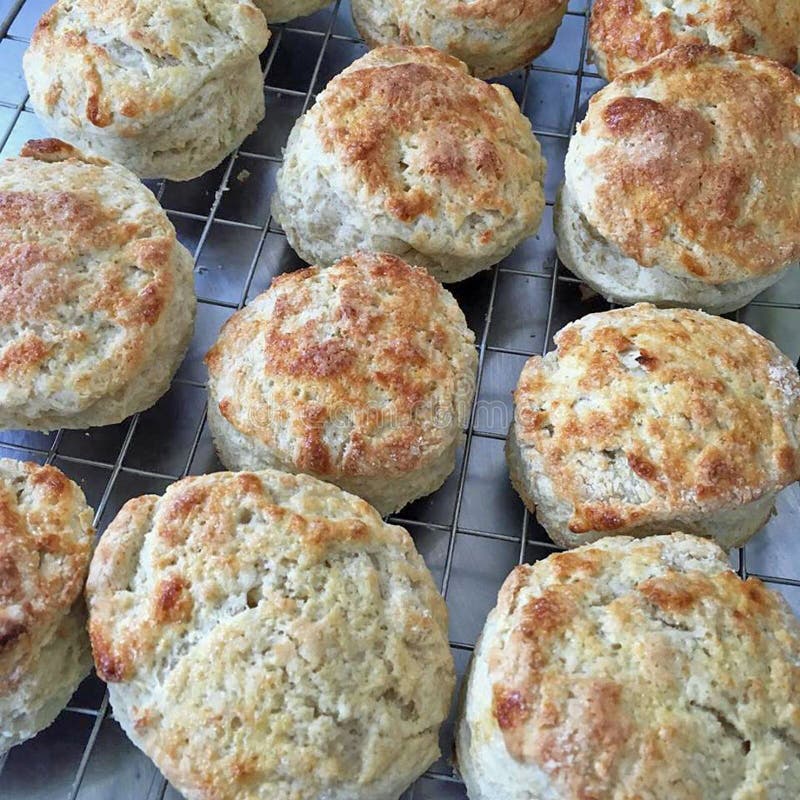 Scones stock image. Image of scones, businesses, ovens - 126786515