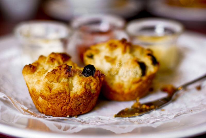 Scones on plate stock photo. Image of devonshire, lace - 3761558