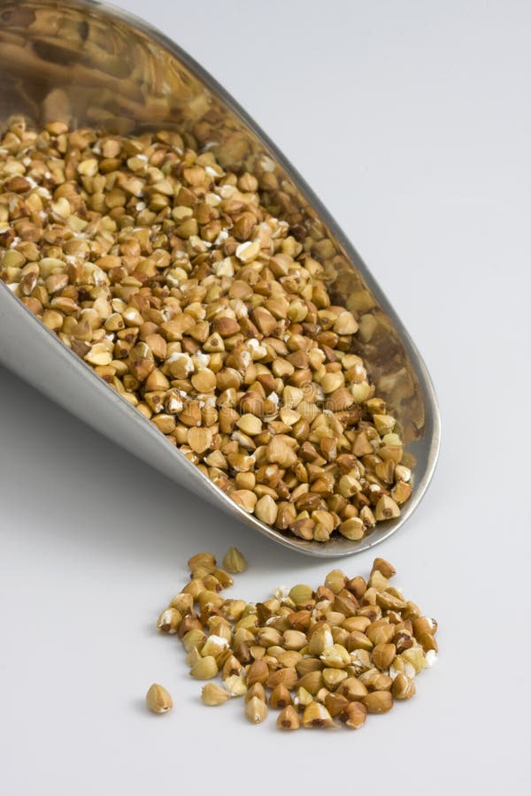 Scoop of Buckwheat (kasha), Toasted Whole Grain Stock Photo - Image of ...