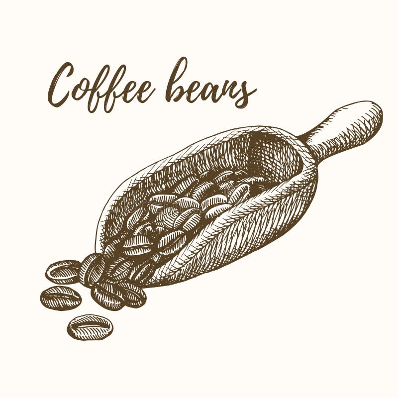 Coffee Shop Building Facade with Table and Chairs, an Umbrella. Street ...