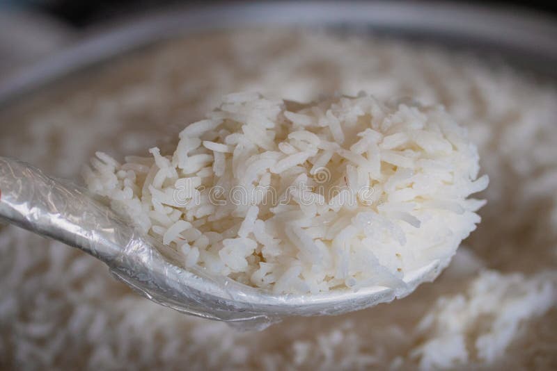 Scoop Hot Cooked Rice from the Rice Cooker Stock Image - Image of ...