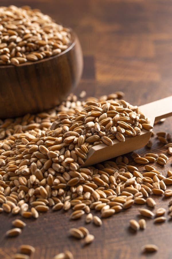 Scoop of Spelt Grain on a Wooden Butcher Block Stock Photo - Image of ...