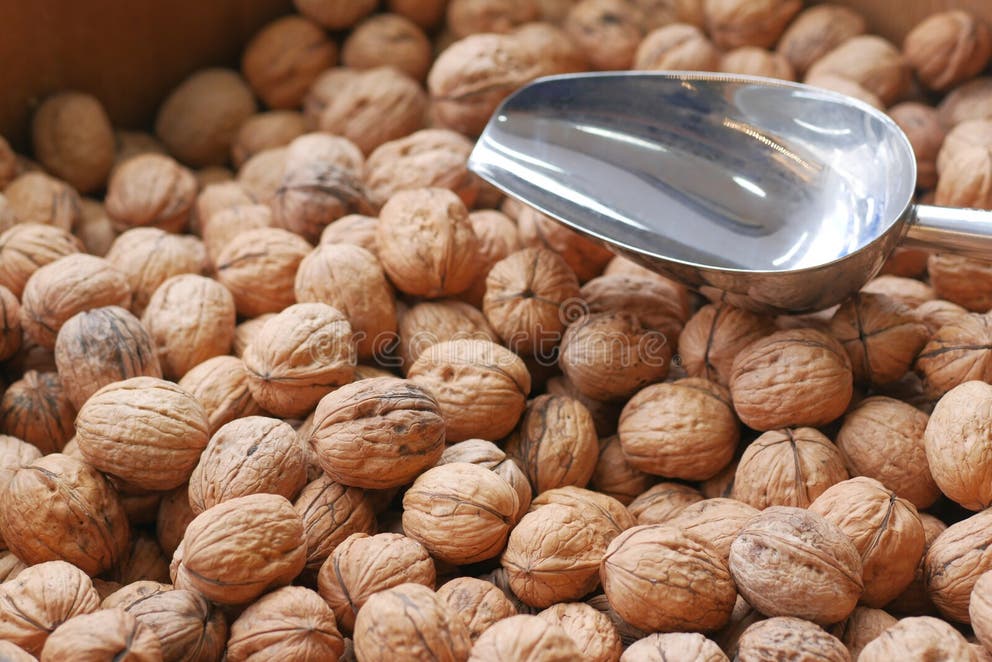 A Scoop of Walnuts, a Superfood, Rests on a Stack of Nuts Seeds Stock ...