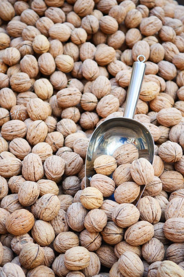 A Scoop of Walnuts, a Superfood, Rests on a Stack of Nuts Seeds Stock ...