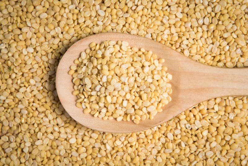 Scoop of yellow beans seed stock image. Image of fresh - 67957175