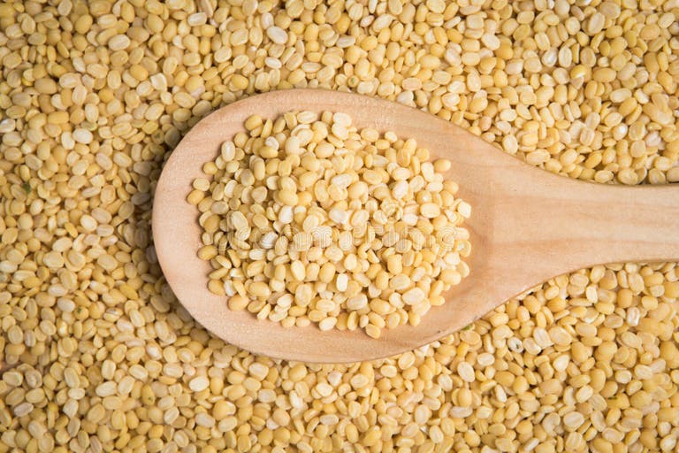 Scoop of yellow beans seed stock image. Image of fresh - 67957175