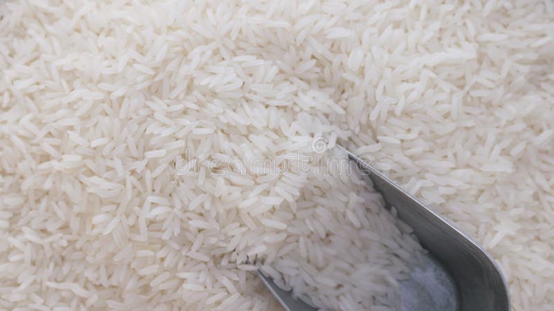 Scooping White Rice stock footage. Video of jasmine - 249029912