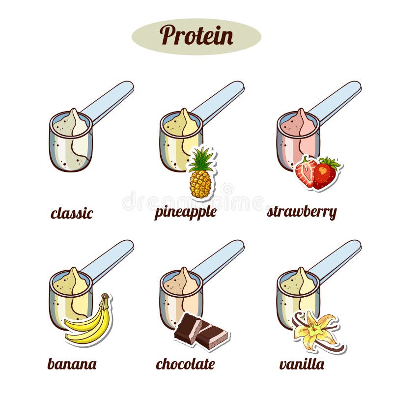 Protein Powder Jar. Bodybuilding Food Supplement Clipart. Protein ...