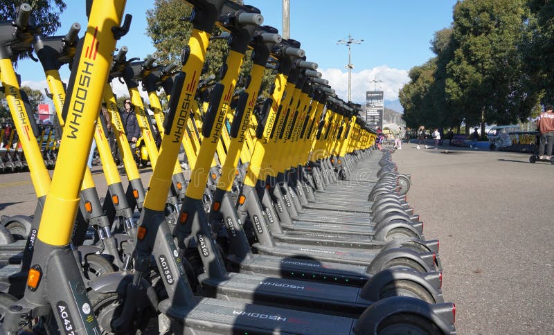 Yellow Electric Scooters Stand in Two Rows, Rental Scooters, City ...