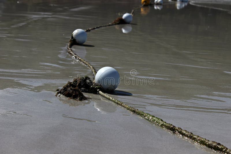Scope the life stock photo. Image of buoy, cord, beach - 55537820