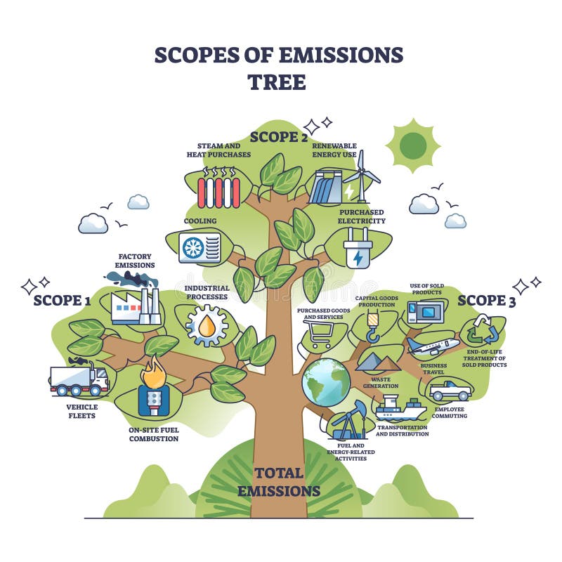 Scopes of Emissions As Direct CO2 Producers on Tree Branches Outline ...