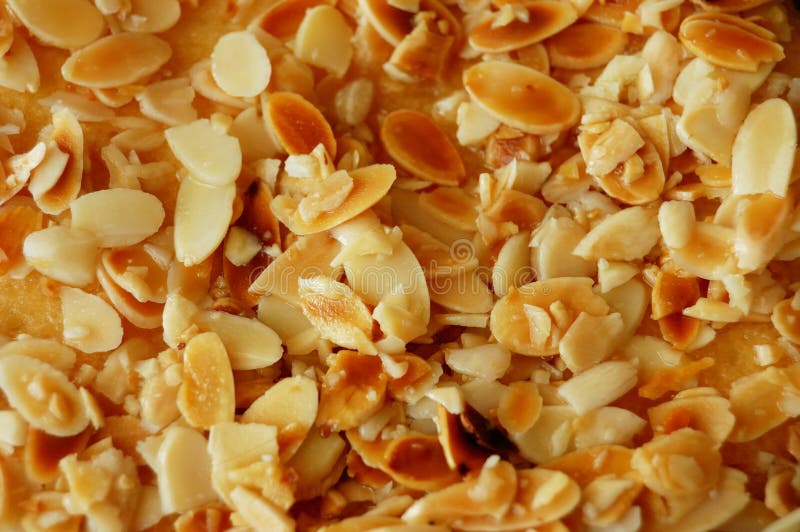 Scorched almonds stock photo. Image of diet, dessert - 13051044