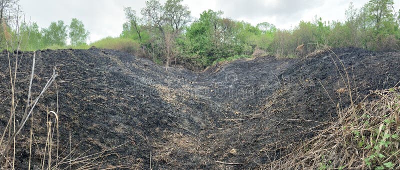 Scorched earth after fire stock photo. Image of ground - 208919782