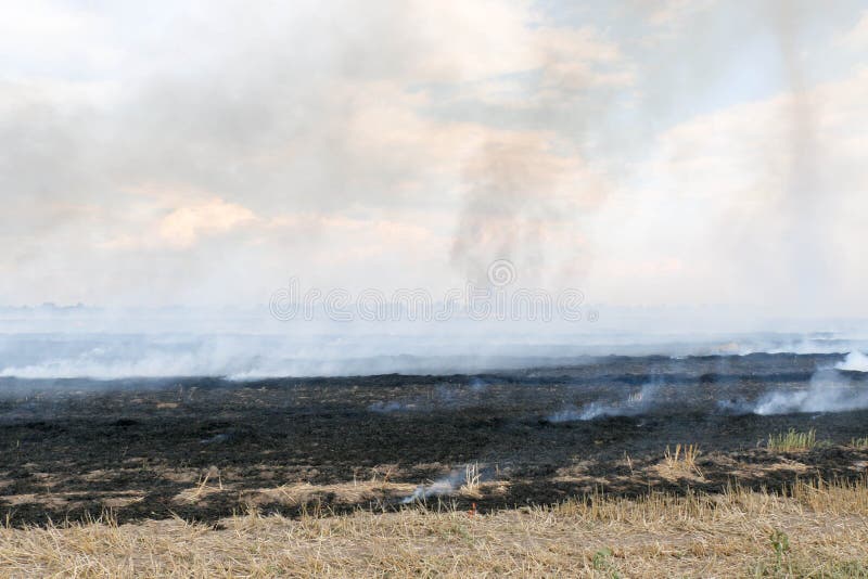 Scorched Earth, Spring Fires. a Field with Burnt Grass. the Destruction ...