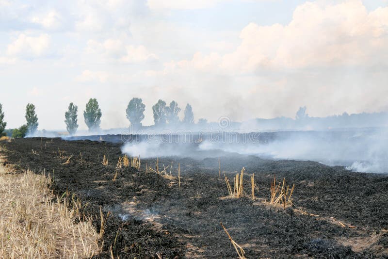 Scorched Earth, Spring Fires. a Field with Burnt Grass Stock Image ...
