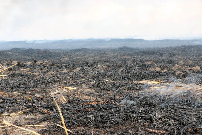 Scorched Field Stock Illustrations – 73 Scorched Field Stock ...