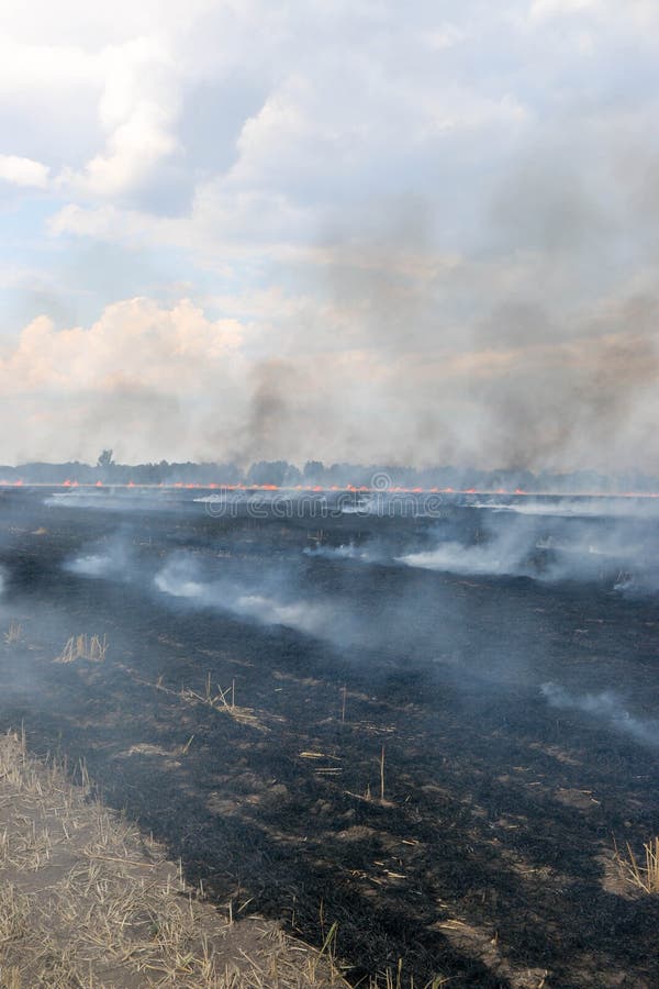 Scorched Field Stock Illustrations – 73 Scorched Field Stock ...