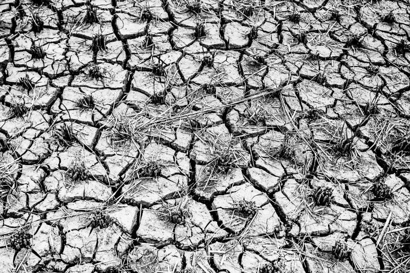 Red scorched earth stock image. Image of dirt, barrenness - 35530615