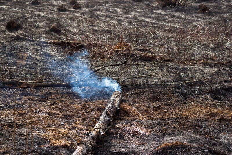 Scorched Field after Spring Grass Fall Stock Photo - Image of smoke ...