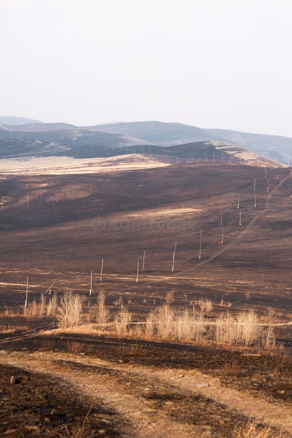 Scorched Ground after Big Fire. Stock Photo - Image of clear, scorched ...