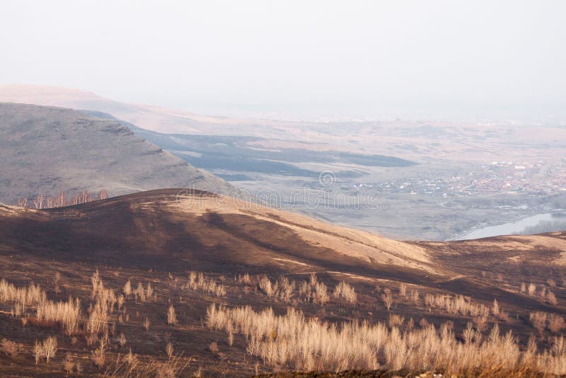 Scorched Ground after Big Fire. Stock Image - Image of tree, sunlight ...