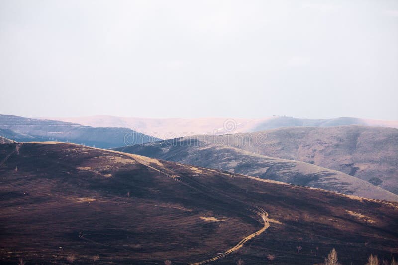Scorched Ground after Big Fire. Stock Image - Image of lavender ...