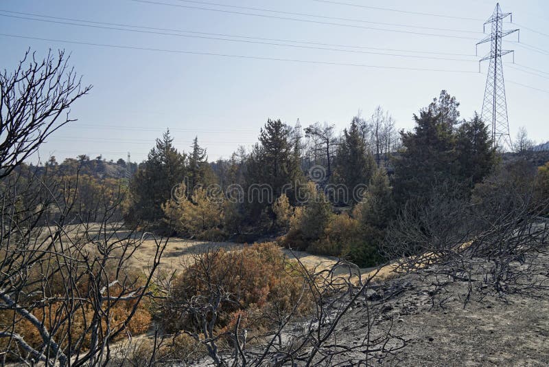 Scorched Landscape on Rhodes Island after Forest Fire Stock Photo ...